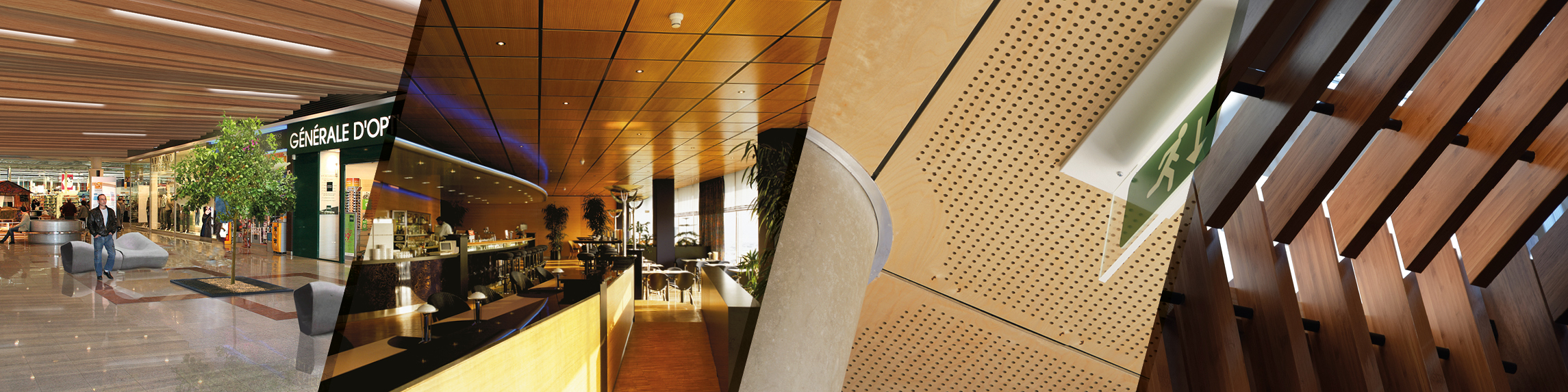 Timber a New Branch of SAS International